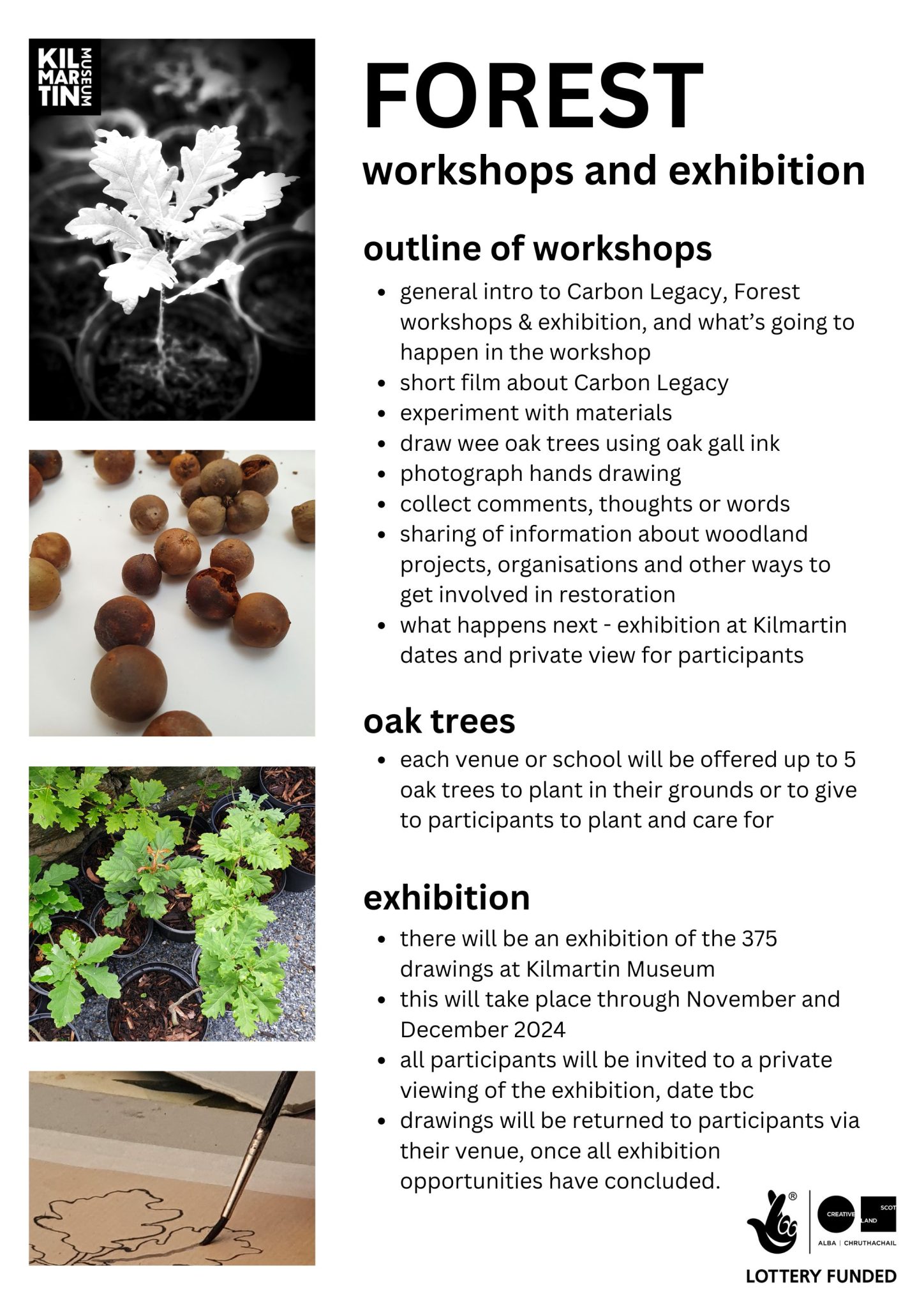 Forest Workshop with Lizzie Rose – Glassary Primary School